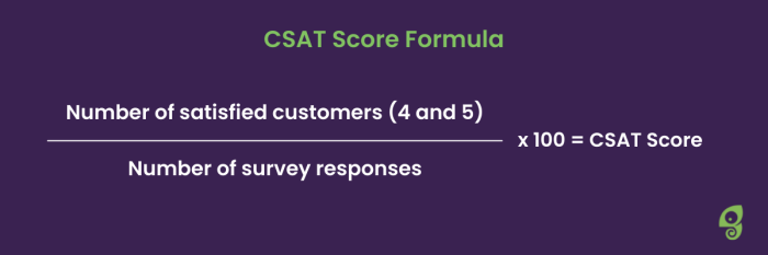 How to Measure Customer Satisfaction and Manage Feedback | Chameleon